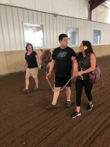 North River Collaborative Rockland MA